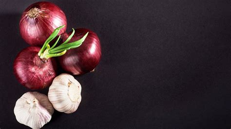 Топ 10 опасных продуктов которые нельзя давать кошкам Питомцы Mail