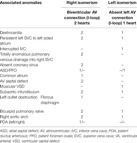 Discordant Va Connection In Isomerism Associated Anomalies Download Table