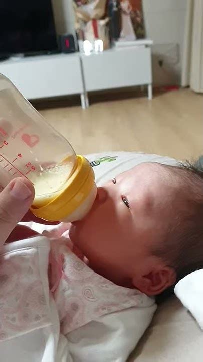 젖먹는 힘까지 뉴올이 Youtube