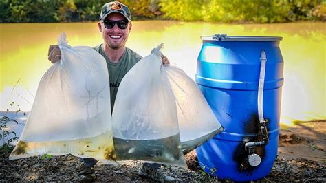 Stocking My Pond With New Fish Youtube
