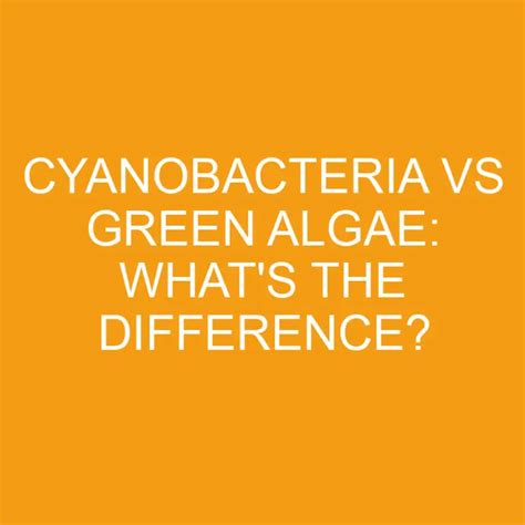 Cyanobacteria Vs Green Algae Whats The Difference Differencess