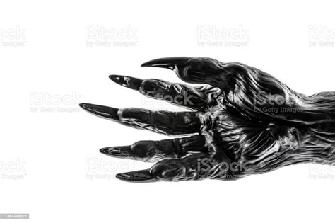 클리핑 경로와 흰색 배경에 고립 된 소름 괴물 손 0명에 대한 스톡 사진 및 기타 이미지 0명 갈고리 발톱 검은색 Istock