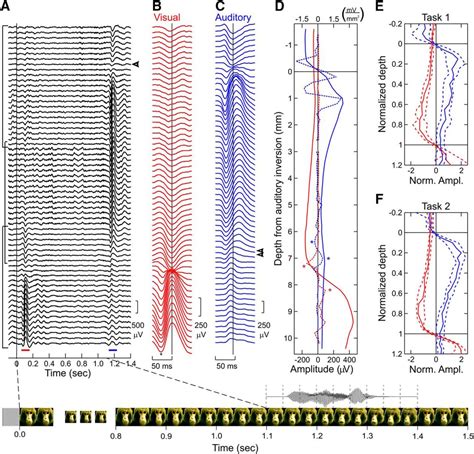 Primary Generators Of Visually Evoked Field Potentials Recorded In The Macaque Auditory Cortex