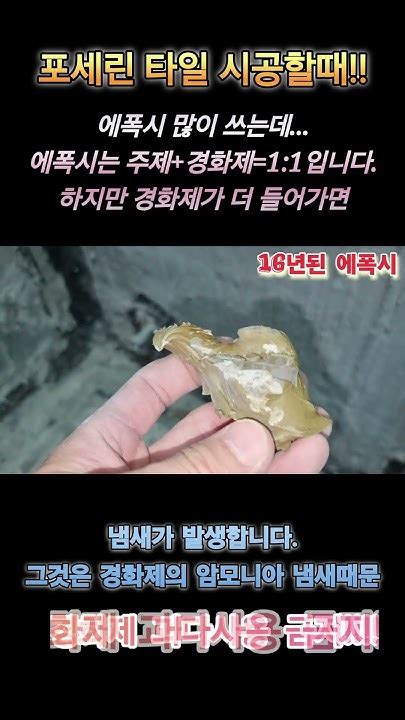 포세린 타일 시공후 악취가 난다면 꼭보세요포세린욕실에폭시시공 Youtube