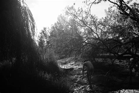 Rebirth By Daniel Van Flymen Homotography