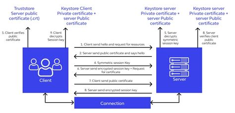 What Is Mutual Authentication 🤝how Does It Work