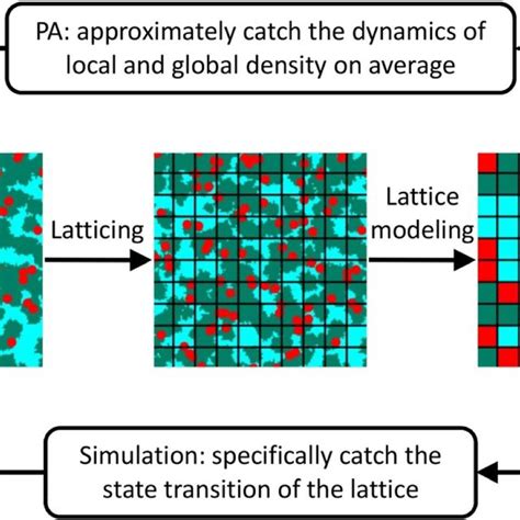 Diagram Of Modeling System From Continuous Real World To Lattice Model Download Scientific