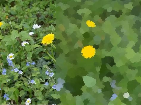 Symmetric Nearest Neighbor App Online Tool Fiveko