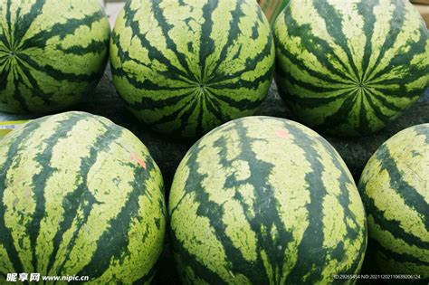 西瓜 摄影图水果生物世界摄影图库昵图网