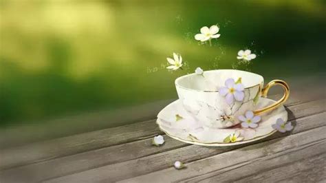 好人品的八个要素，你做到几个？