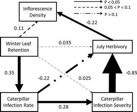 Structural Equation Model Of The Effect Of Winter Leaf Retention On Download Scientific Diagram