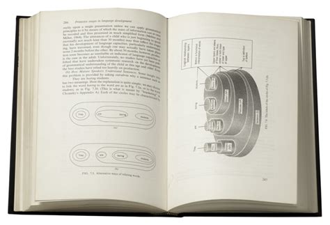 Eric Lennebergs Work And Especially His Biological Foundations Of Download Scientific Diagram