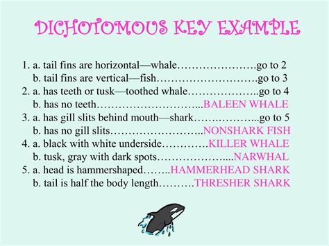 Ppt Dichotomous Keys Powerpoint Presentation Free Download Id5375728