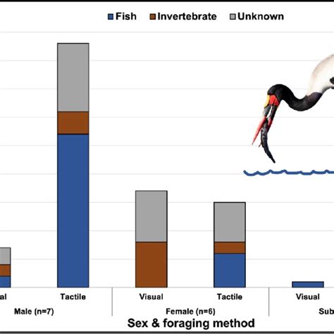Locations Of Foraging Observation Sites In Liuwa Plain National Park Download Scientific