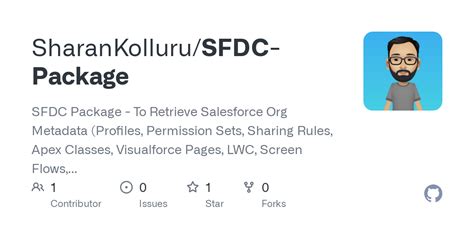 Github Sharankollurusfdc Package Sfdc Package To Retrieve Salesforce Org Metadata