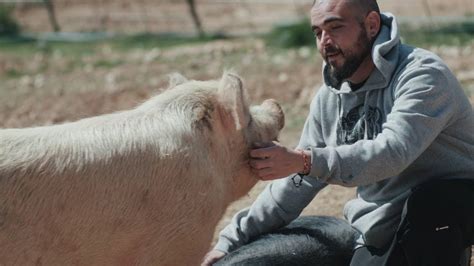 Iban Es40 Que Banco Es 2025