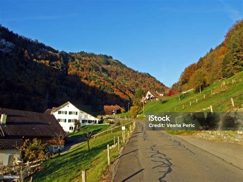 알프슈타인 산맥의 경사면과 라인 계곡의 농촌 전통 건축물과 가축 농장 0명에 대한 스톡 사진 및 기타 이미지 Istock