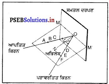 PSEB th Class Science Solutions Chapter ਪਰਕਸ PSEB Solutions