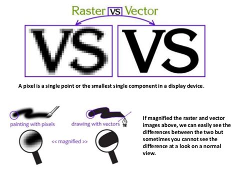 Vector Vs Bitmap Raster Logos And Their Importance In Signage
