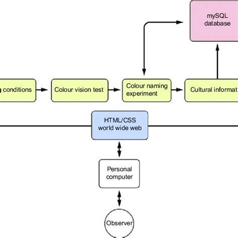 2 Procedure Of The Online Colour Naming Experiment Download