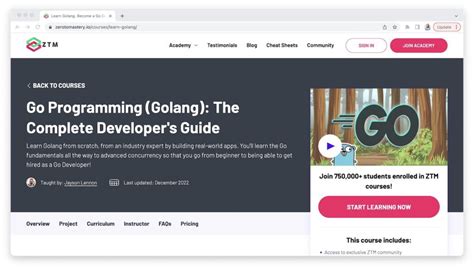 What Is Gogolang Beginners Guide