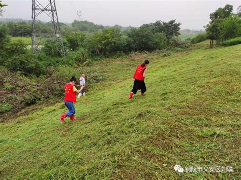 防汛救灾，义安巾帼在行动（六）│顺安镇：巾帼坚守——防汛抗洪妇联在行动澎湃号·政务澎湃新闻 The Paper