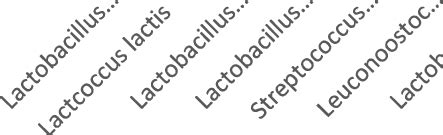Total LAB Counts Cfu Ml From Different Samples Download Scientific Diagram