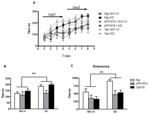 Motor Performance Was Assessed Using Two Variations Of The Rotarod