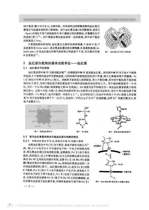血红蛋白的分子结构及与其载氧功能相关的药物研究进展 Word文档在线阅读与下载 无忧文档