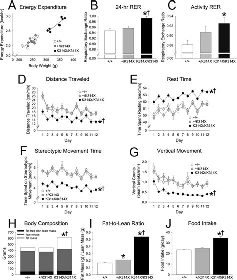 Effects Of Mc4r K314x Mutation On Energy Expenditure Physical