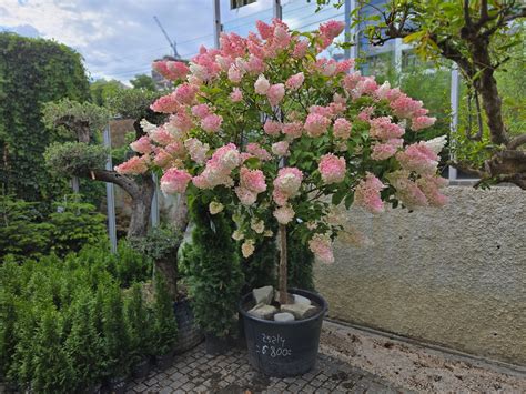 Verde Verde Added A New Photo