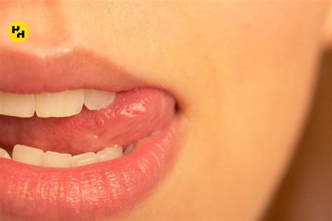 АМНЫ ХӨНДИЙН МӨӨГӨНЦӨР