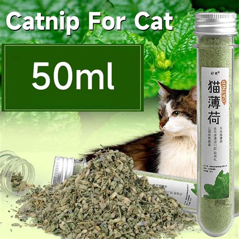 Catnip For Cat Natural Catnip Powder Cat Grass Vanilla Mutiana Leaf Snacks Food 50ml Shopee Catnip For Cat Natural Catnip Powder Cat Grass Vanilla Mutiana Leaf Snacks Food 50ml Shopee