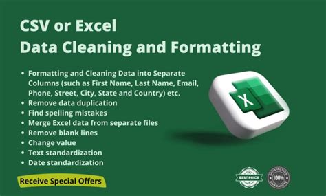 do csv or excel data cleaning and formatting by herisunandar fiverr