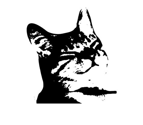 Tech In Depth Medium