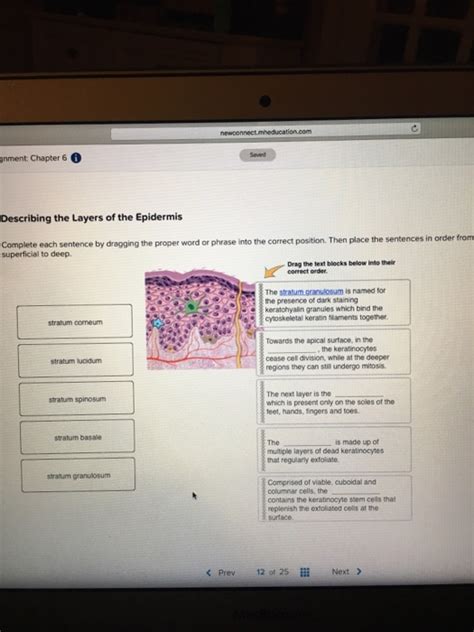 Solved Tion Gnment Chapter 6 Describing The Layers Of Chegg