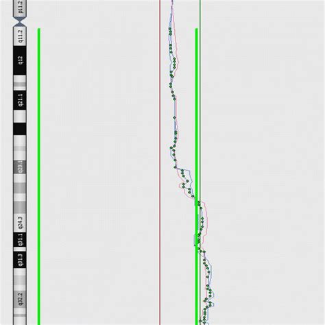 Cgh Array Cgh Array Profile Of Derivative Chromosome 14 Indicating A Download Scientific
