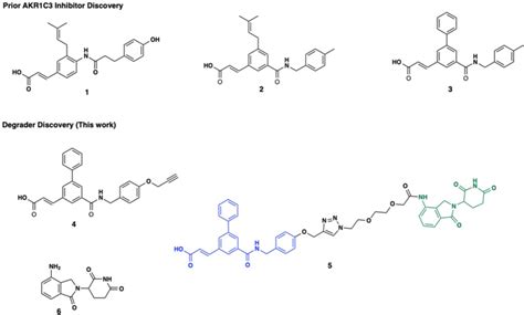 Structures Of Selected Akr1c3 Inhibitors Protac And Download