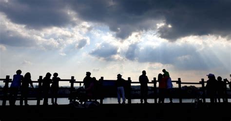 가을 속 하늘공원