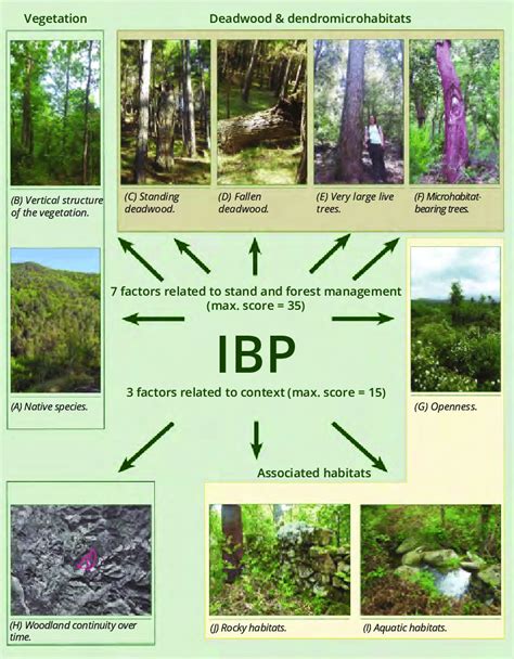 Factors Which Compose The Potential Biodiversity Index Ibp Download Scientific Diagram