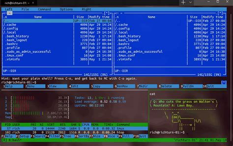 Neues Terminal Und Linux Kernel Für Windows 10🍄 Descubra A Emoção Das