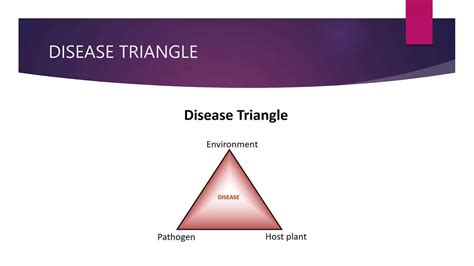 Plant Pathology Pptx