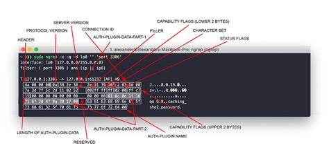 Writing Mysql Proxy In Go For Self Learning Part 2 — Decoding Handshake Packet Medium