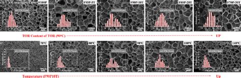 Cellular Microstructures Sem Images And Cell Size Distribution Download Scientific Diagram