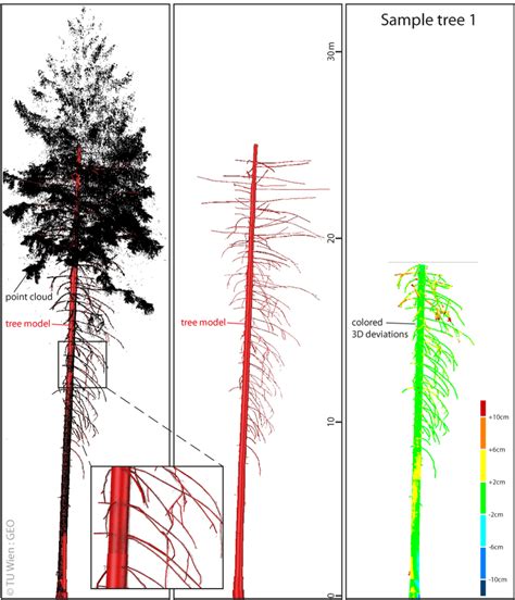 Remote Sensing Free Full Text A Practical Approach For Extracting Tree Models In Forest