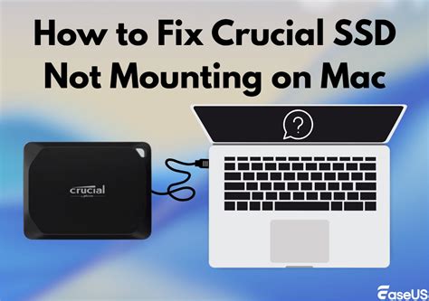 Crucial SSD Not Mounting On Mac How To Solve