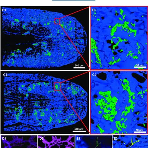 Overview Of Our Automated Pipeline And Its Applicability To Large Areas