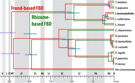 The Genealogical World Of Phylogenetic Networks Summarizing Non