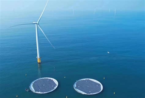 Offshore Floating Vs Land Based Pv Systems Pv Magazine International