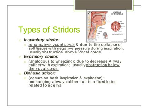 Upper Vs Lower Airway Obstruction